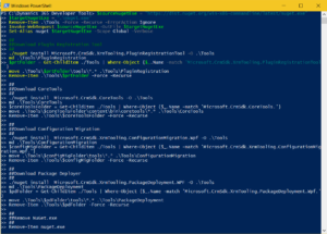 Dynamics 365 Developer Guide (the new SDK) - Carl de Souza